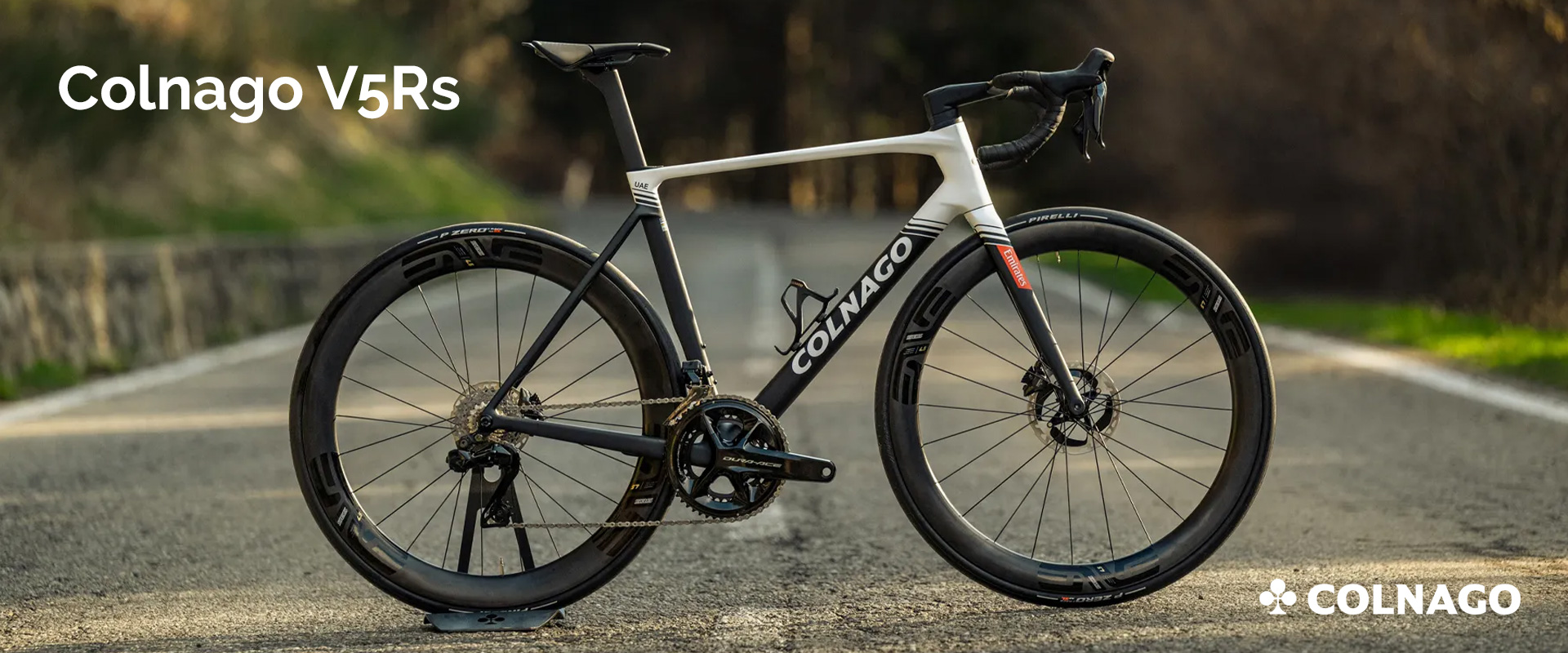 Colnago Bikes Dealer By Bicycle Emporium In Auburn,CA